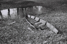 Photos of Pripet Marshes. Фота Палесься. | Radzima Photo